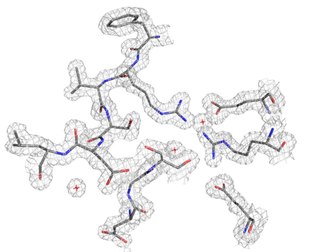 Improving Meningococcal Vaccines