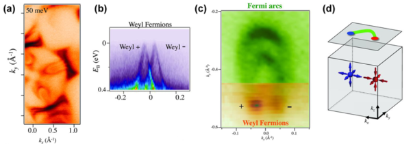 Weyl Fermions Discovered After 85 Years