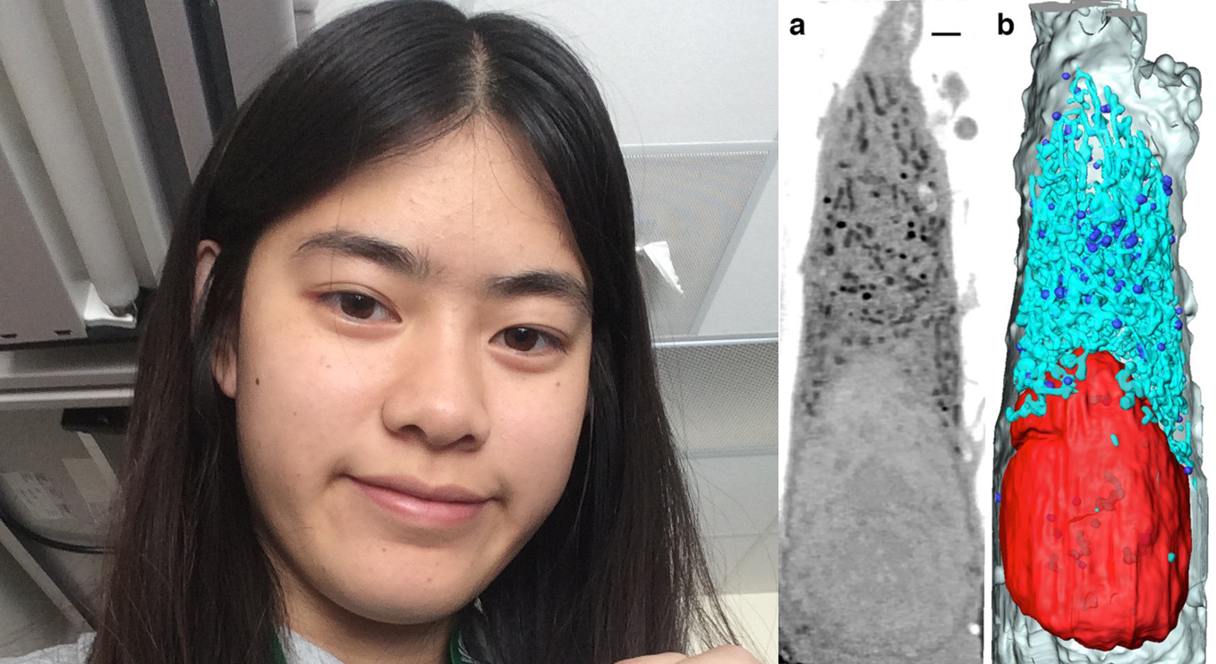 What I Did Last Summer: Co-Authored a Scientific Paper!