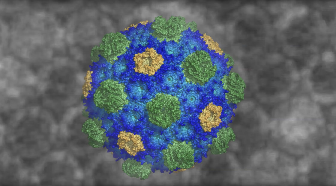 A Bacterial Jigsaw Puzzle Is Solved