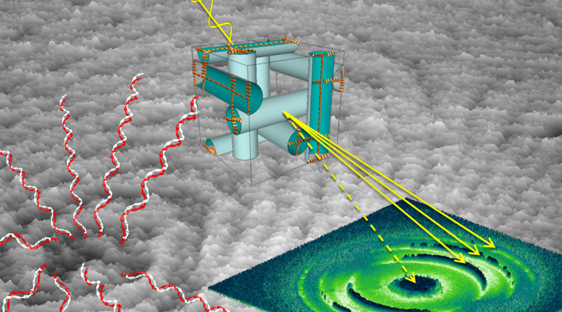 resonant soft x-ray scattering (RSoXS) Archives - Page 4 of 4 - ALS