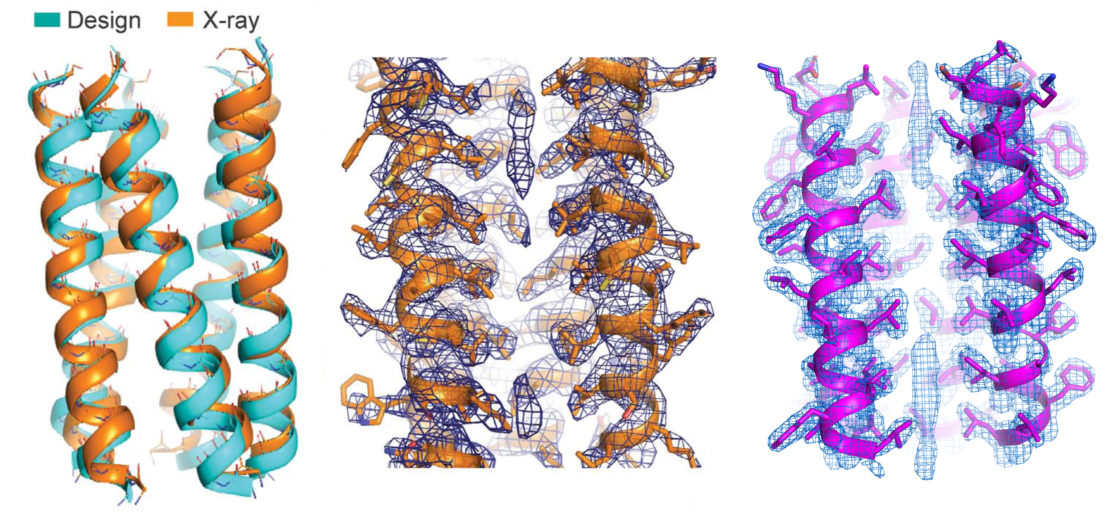 Breakthrough in Membrane-Protein Design Settles Long-Standing Debate