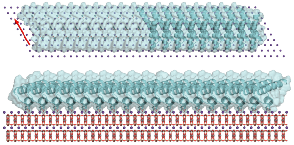 Custom-Designed Models Reveal How Proteins Assemble on Minerals