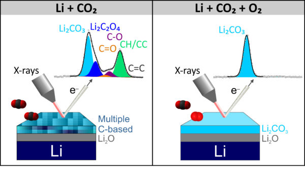New Insights into Lithium-Metal Surface Reactions for Next-Generation ...