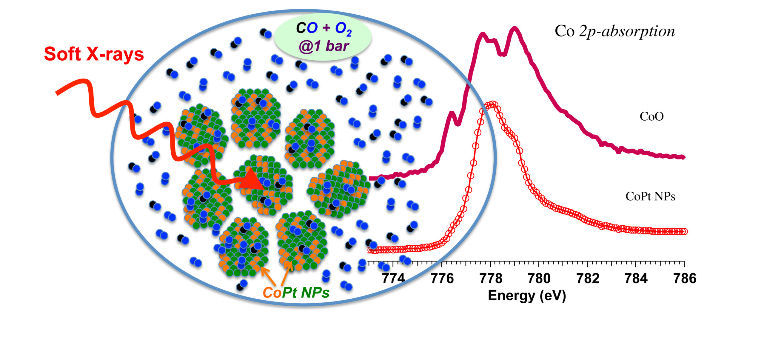 Chemistry of Cobalt-Platinum Nanocatalysts