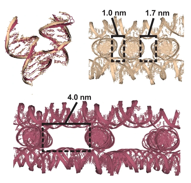 An Expanded Set of DNA Building Blocks for 3D Lattices