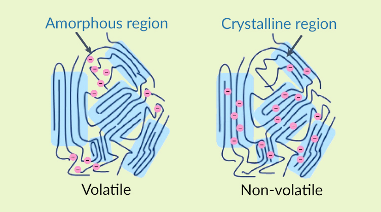 An Organic Transistor That Can Sense, Process, and Remember