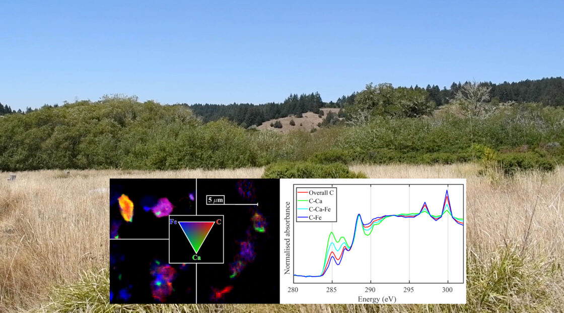 Improving Carbon Retention in Grassland Soil from Point Reyes