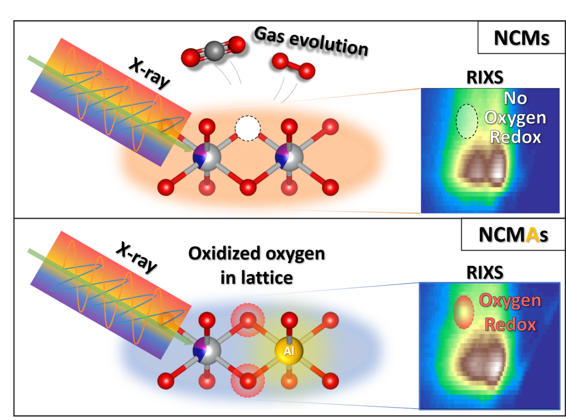 Reaction Mechanism of Commercial Lithium-Ion Battery Cathodes